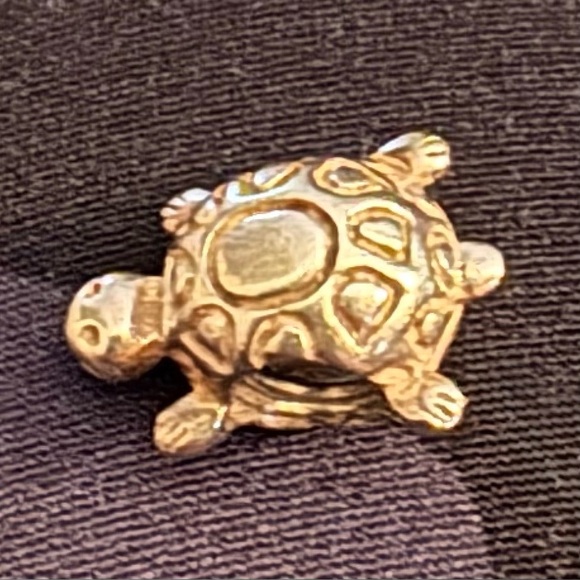 Pandora | Jewelry | Authentic Pandora Turtle Charm | Poshmark